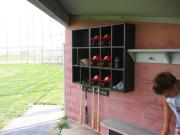 Bat Racks - PYT Sports