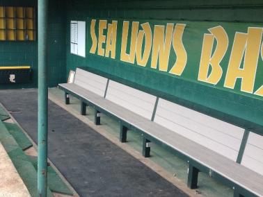 Custom Vinyl Dugout Banners | Custom Baseball Banners - PYT Sports