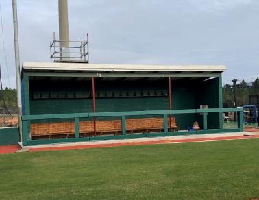 MLB Pro Style Rail Padding For Ballparks & Stadiums | PYT Sports - PYT ...