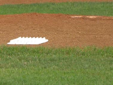 MLB Cleat Cleaners | Baseball Cleat Cleaning Pads | PYT Sports - PYT Sports