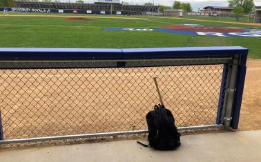 Safety Padding for Rails, Fences, & Dugouts | Ballpark Safety Pads ...
